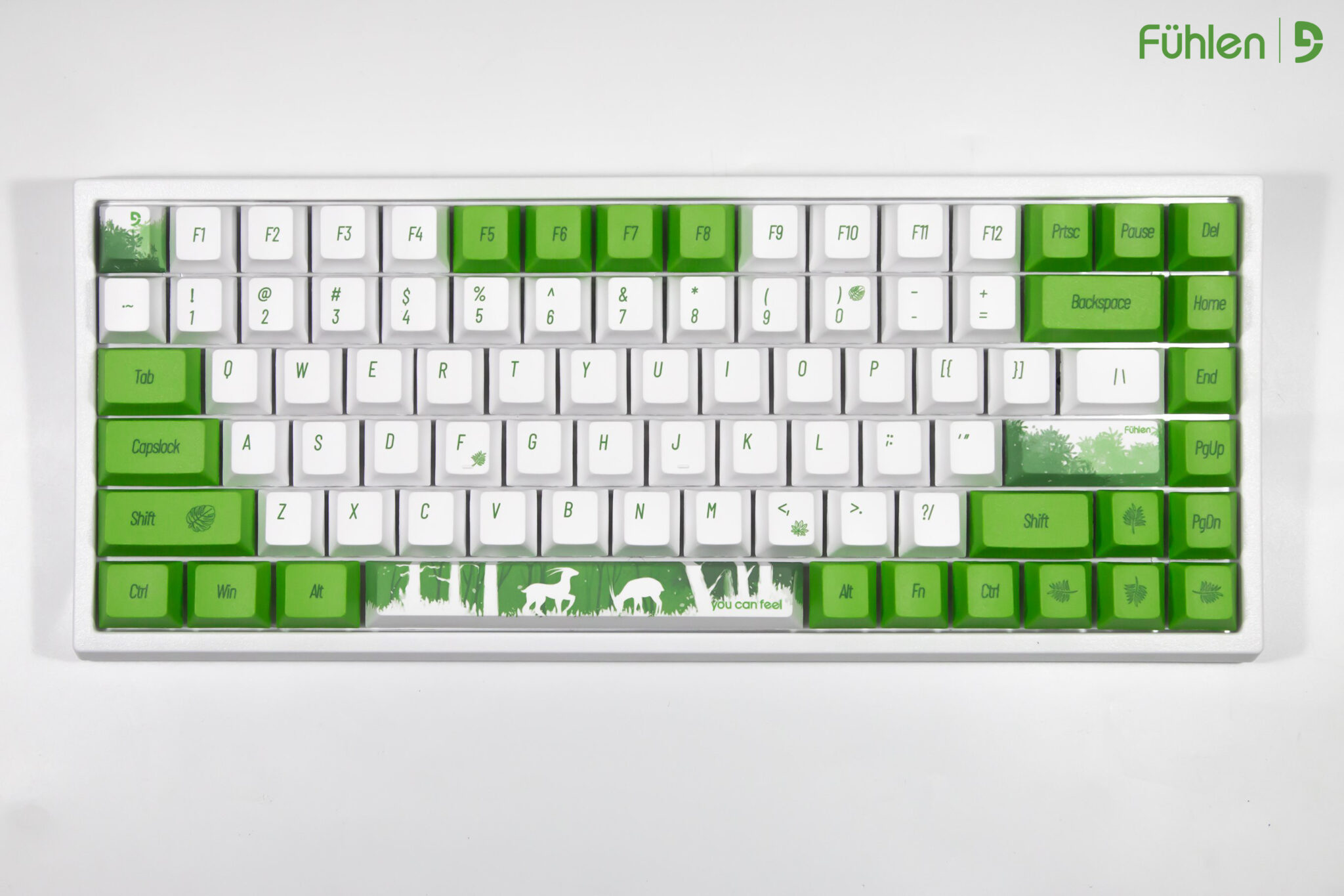 KEYCAP PBT FUHLEN SAOLA – CHERRY PROFILE – Fuhlen Việt Nam