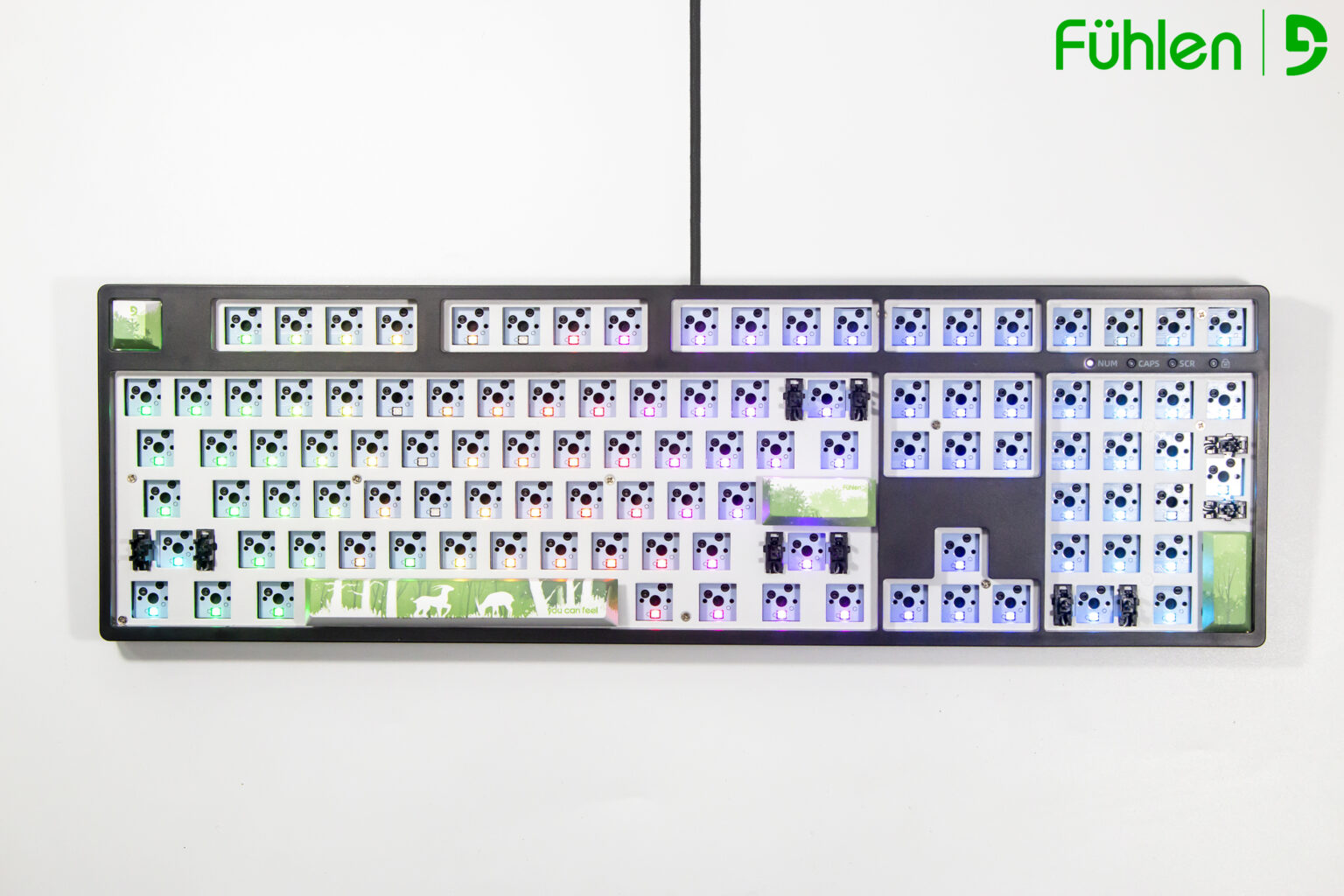 KIT DIY – Fuhlen Việt Nam